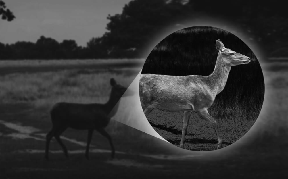 Thermal vs. Night Vision Scopes: Choosing Your Hunting Ally
