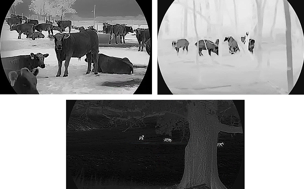 RIX LEAP Series Thermal Imaging Scopes: Escort You in Every Darkness ...